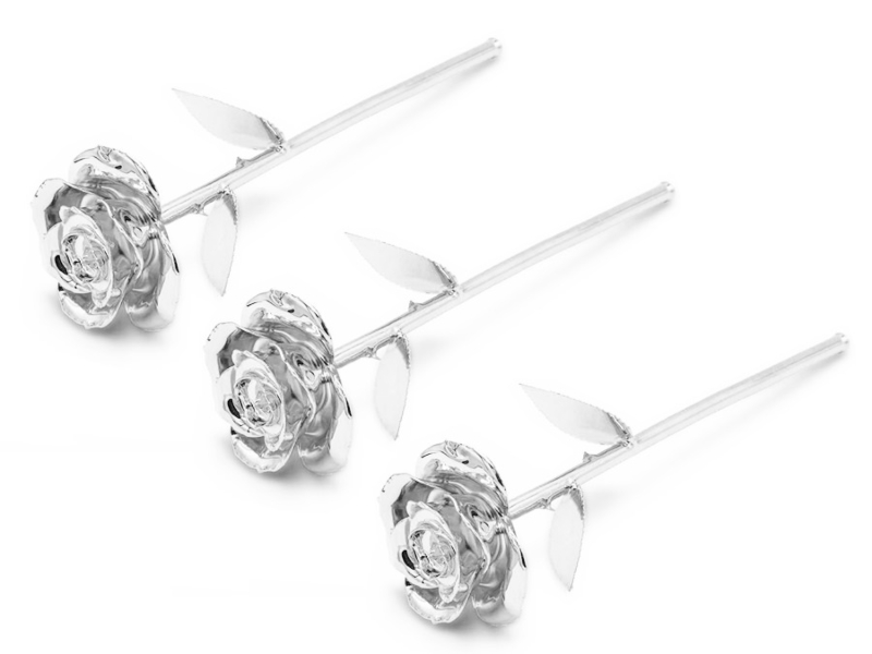 Silver Dipped Rose - Real Silver Plated Rose Engraved | Personalized ...