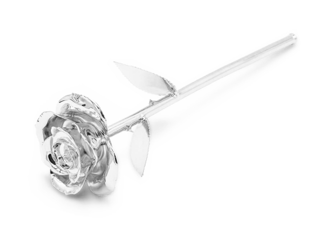 Silver Dipped Rose - Real Silver Plated Rose Engraved | Personalized ...