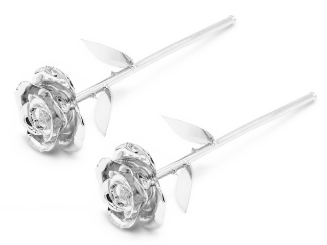 Silver Dipped Rose - Real Silver Plated Rose Engraved | Personalized ...