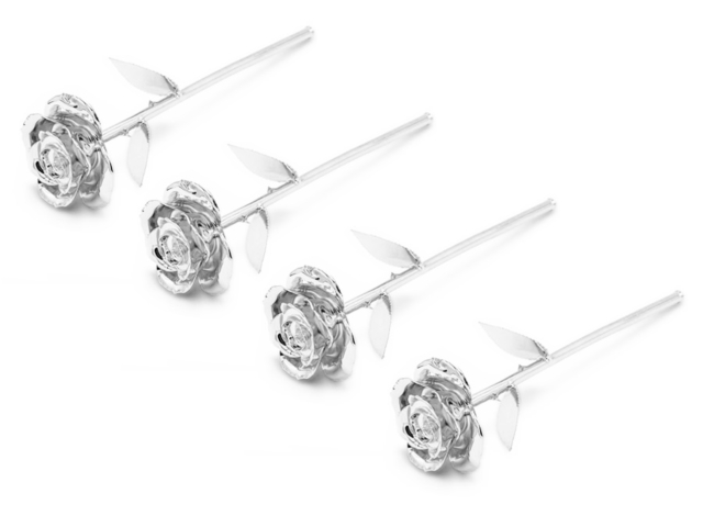 Silver Dipped Rose - Real Silver Plated Rose Engraved | Personalized ...